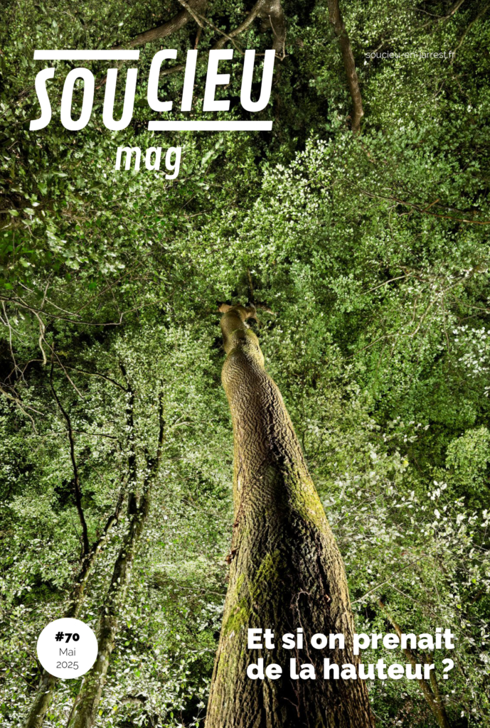 Mairie de Soucieu en Jarrest